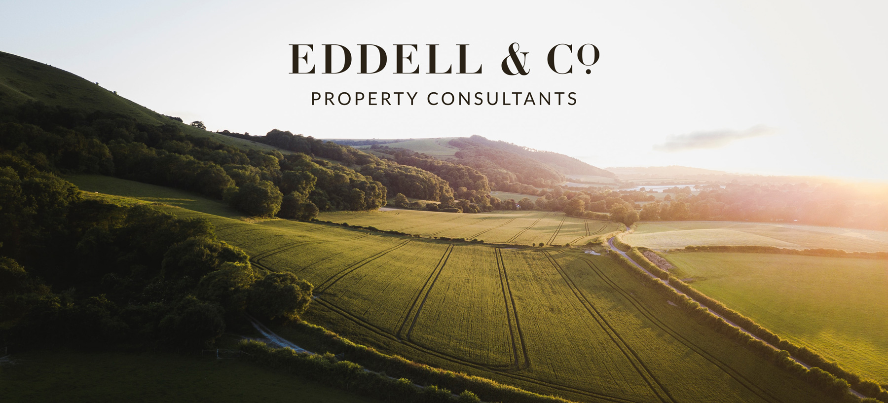 Eddell & Co. | Silverless